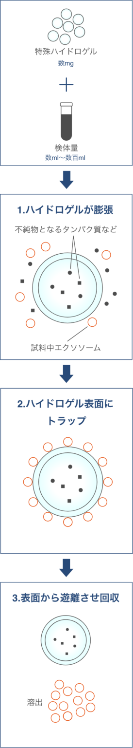 事業内容 | Egret・Lab（イーグレット・ラボ）− 徳島大学発ベンチャー。エクソソーム精製受託サービス（研究者・企業向け）