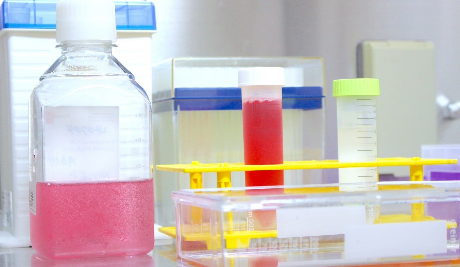 Egret・Lab（イーグレット・ラボ）− 徳島大学発ベンチャー。エクソソーム精製受託サービス（研究者・企業向け）